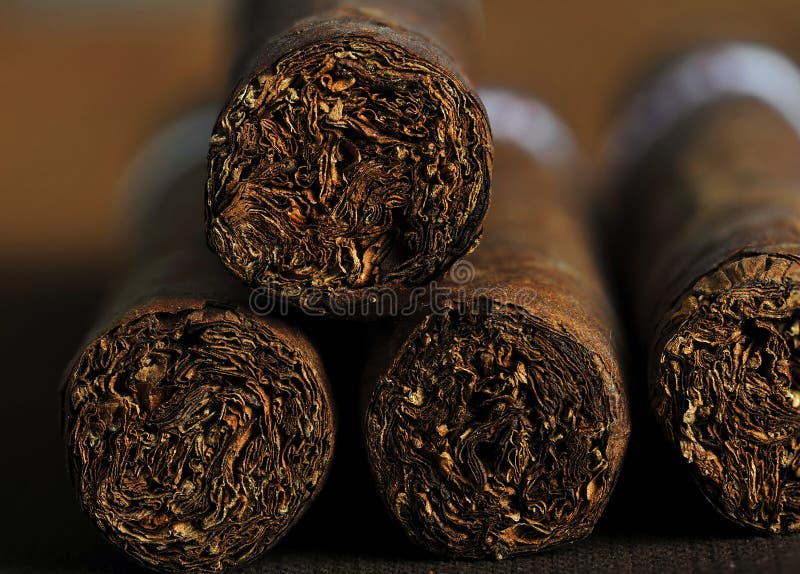 Cigars stock image. Image of cuban, havana, texture, smoke - 21831295