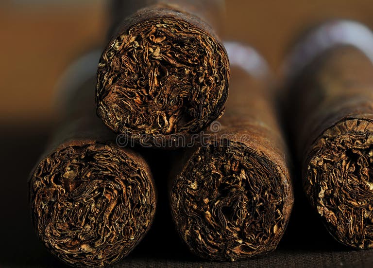 Cigars stock image. Image of cuban, havana, texture, smoke - 21831295