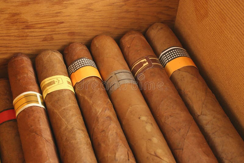 Cigars stock photo. Image of health, life, dead, smoke - 358634