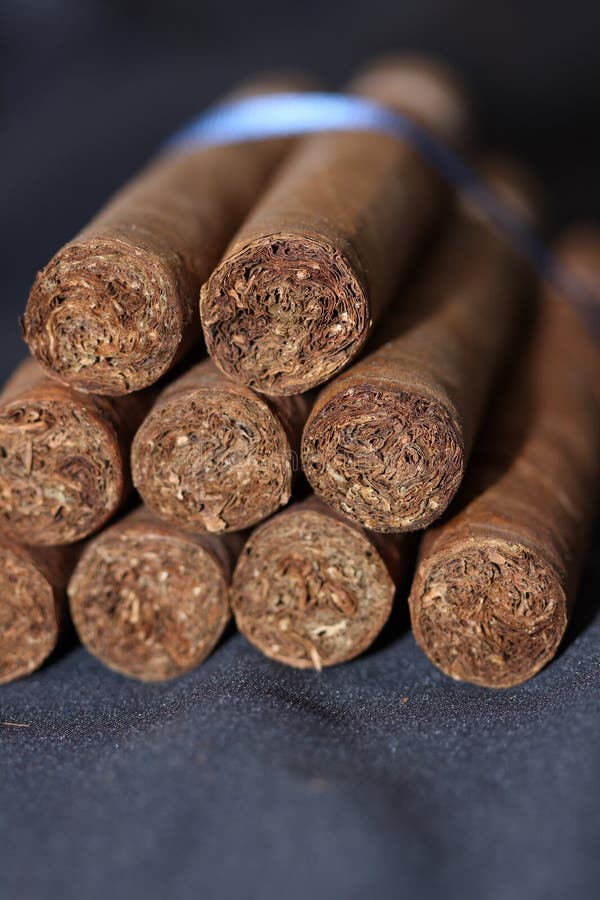 Cigars stock photo. Image of cuba, blue, cigars, light - 5317294