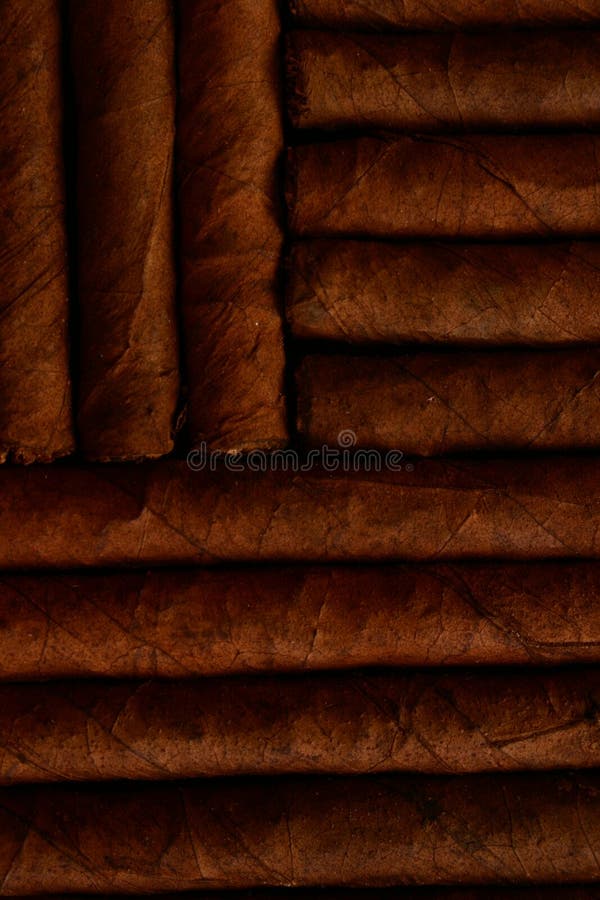 Cigars stock photo. Image of cigarillos, texture, brown - 5958268