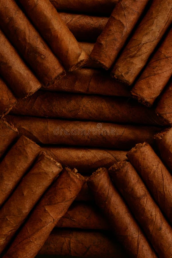 Cigars stock photo. Image of cigarillos, texture, brown - 5958268