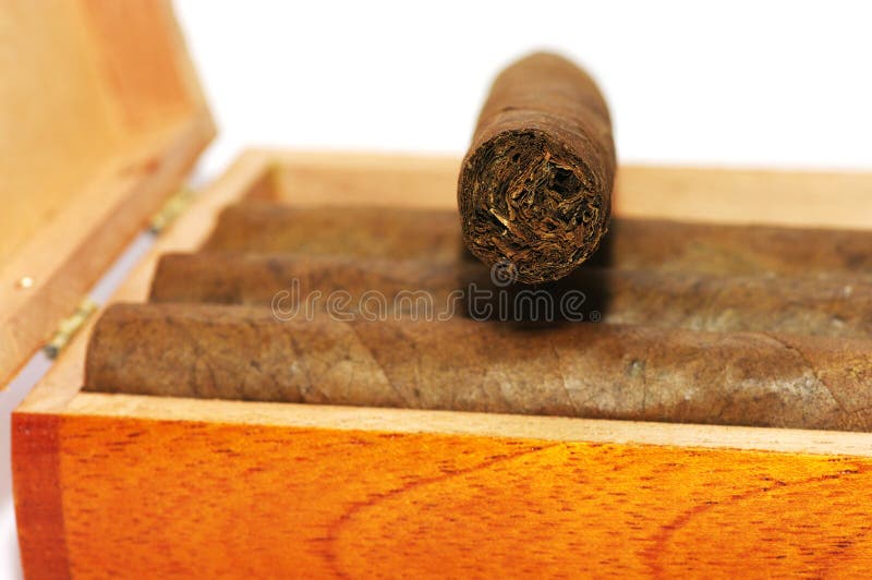 Cigars are in a box. stock image. Image of brown, collection - 7154747