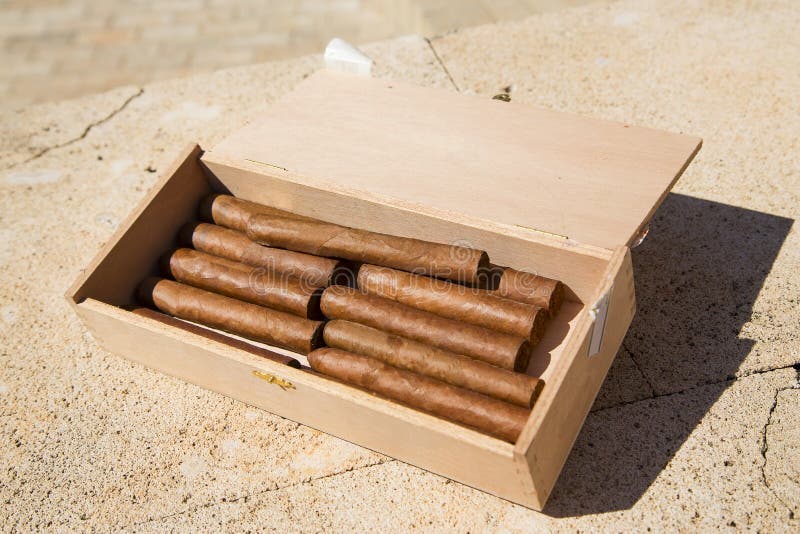 Cigars are in a Box. Top View Stock Photo - Image of relaxation, style ...