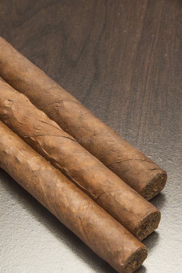 Cigars stock photo. Image of wood, cigar, habit, plant - 71766486