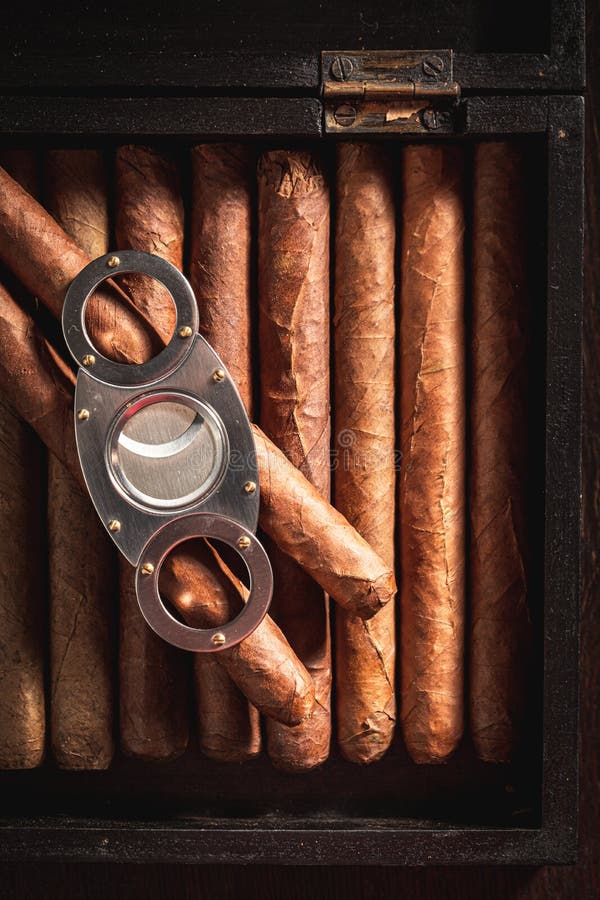 Cigars in Rustic Wooden Box Stock Image - Image of business ...