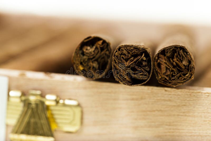 Cigars stock photo. Image of photographed, culture, gift - 44938930