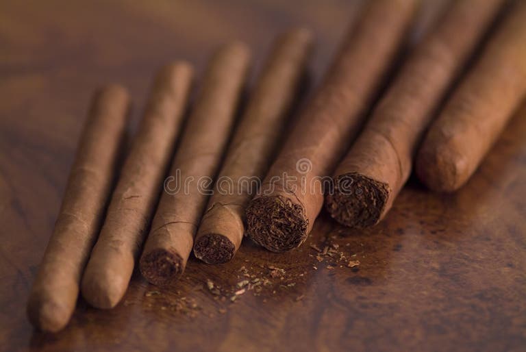 Cigars-on-table stock photo. Image of taste, havana, cigars - 5230406