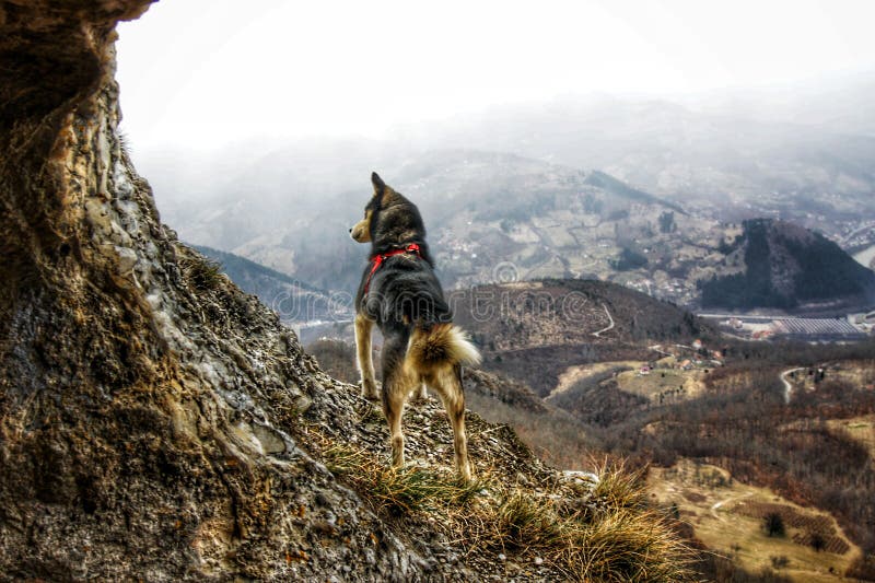 Cigota mountain Zlatibor stock image. Image of winter - 213022563
