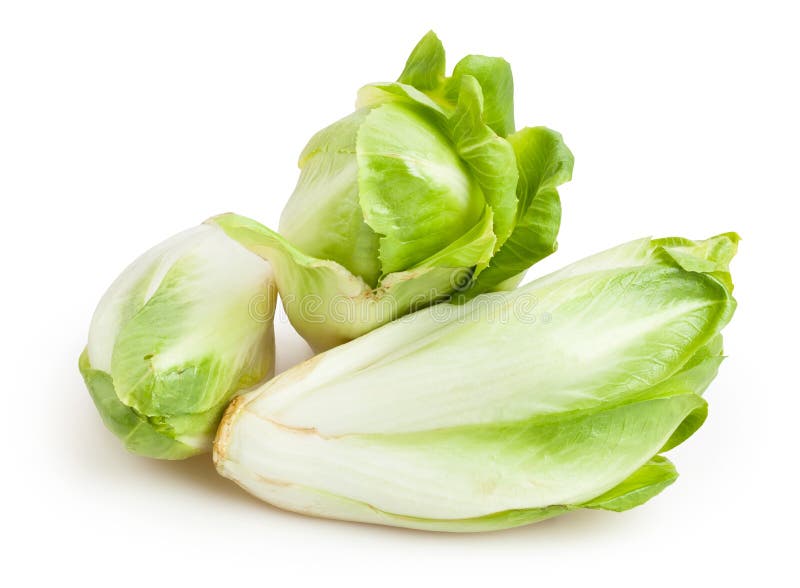 20,506 Cikoria Stock Photos - Free & Royalty-Free Stock Foton från ...