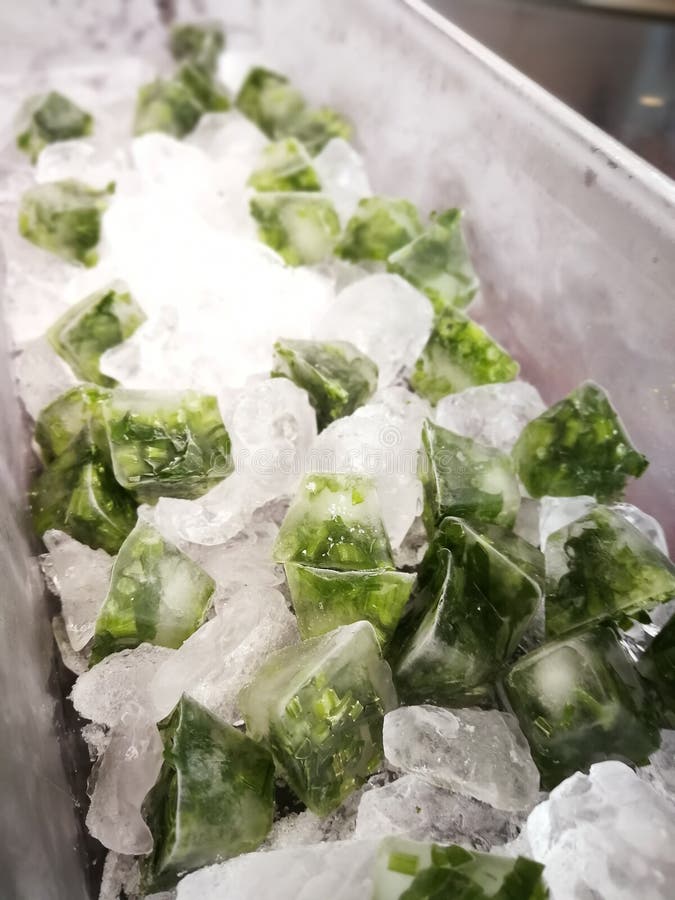 Cilantro Being Placed in a Ice Tray Cubes. Stock Photo - Image of ...
