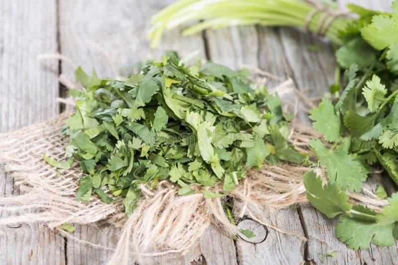 Cilantro stock image. Image of healthy, closeup, fresh - 39406349