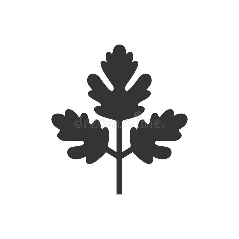 Cilantro Leaf Icon stock vector. Illustration of green - 296705340