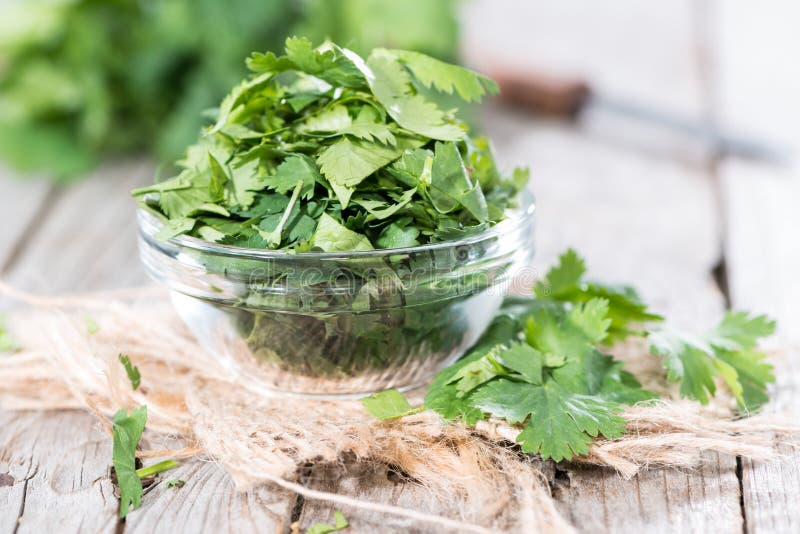 Cilantro Leaves stock photo. Image of coriander, cuisine - 39038414
