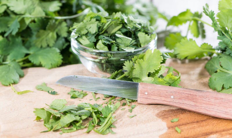 Cilantro Leaves stock photo. Image of green, ingredients - 39515928