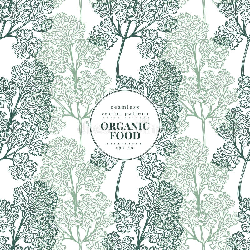 Cilantro pattern stock vector. Illustration of pattern - 57191130