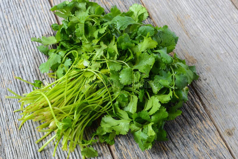 Cilantro on Wooden Background Stock Image - Image of wood, board: 47706333
