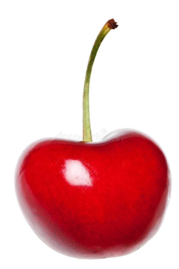 Ciliegia isolata fotografia stock. Immagine di pianta - 10457818