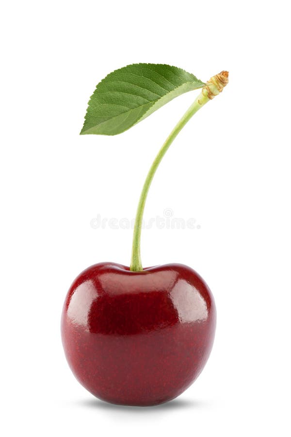 Ciliegia isolata su bianco immagine stock. Immagine di ciliegia - 46167915