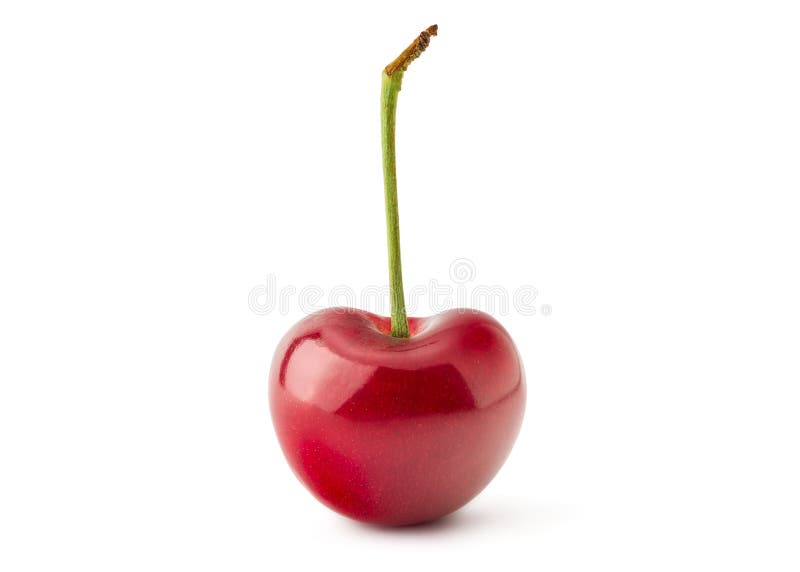 Ciliegia rossa fresca immagine stock. Immagine di frutta - 72917577