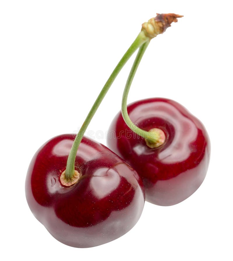 Ciliegie Isolate Su Un Fondo Bianco Fotografia Stock - Immagine di ...