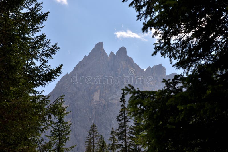 Cima Una Framed by Pine Trees Stock Photo - Image of scenic, rocks ...