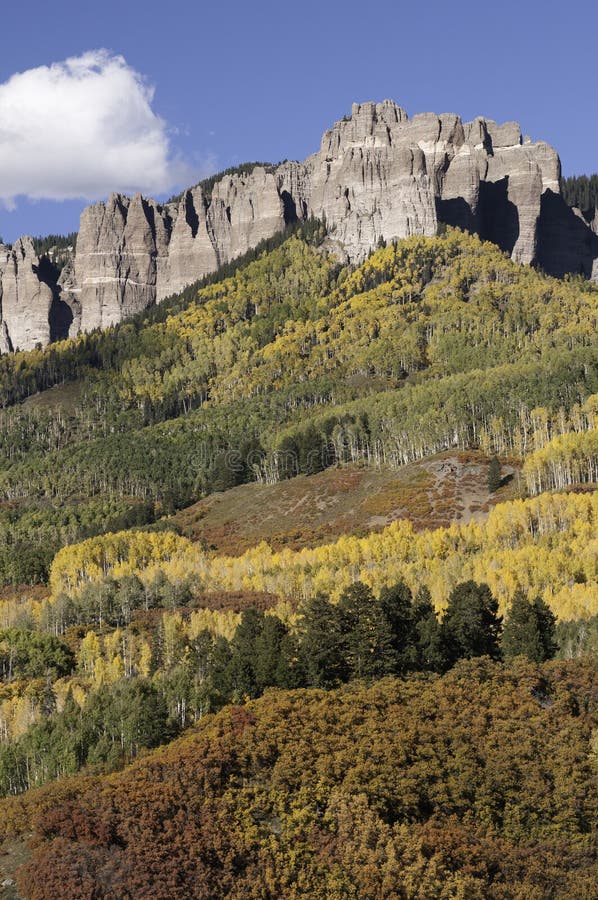 Cimarron Creek stock image. Image of colorado, wilderness - 3868081