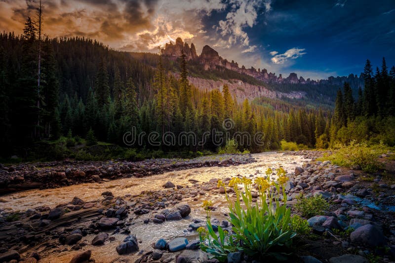 Cimarron River San Juan Mountains Stock Photo - Image of nature, forest ...
