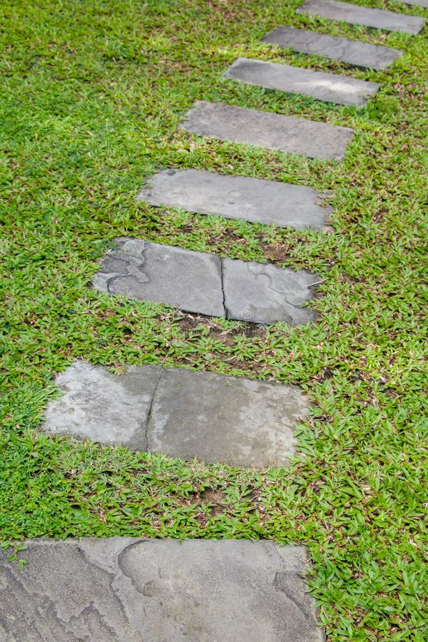 800 Fotos de Stock de Grama Verde No Bloco De Cimento Quadrado - Fotos ...