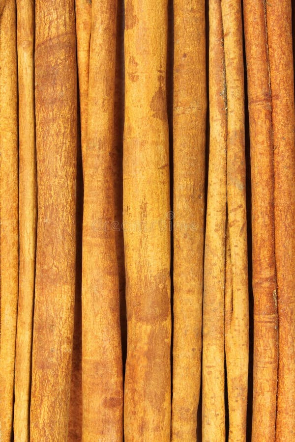Cinammon stock image. Image of spice, recipe, kitchen - 16606969