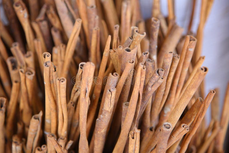 Cinamon stock photo. Image of care, shot, brown, stick - 44689792