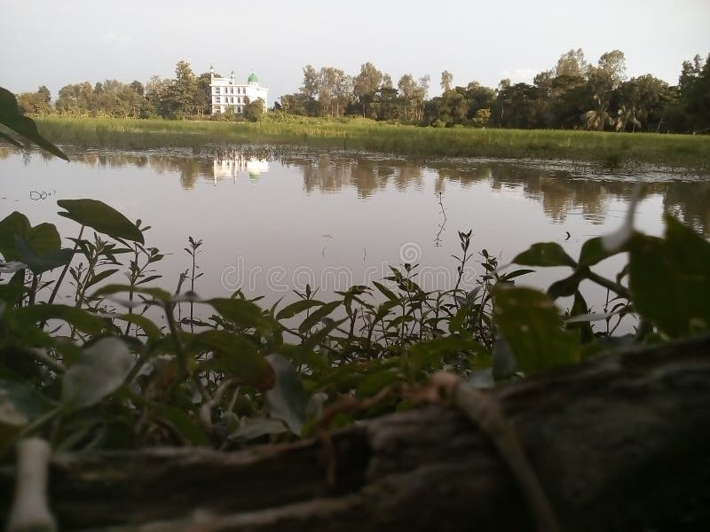 Cinare Stock Photos - Free & Royalty-Free Stock Photos from Dreamstime