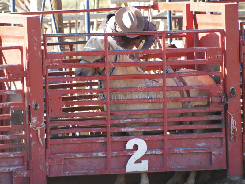 Cinching down editorial image. Image of prepares, rigging - 42575535