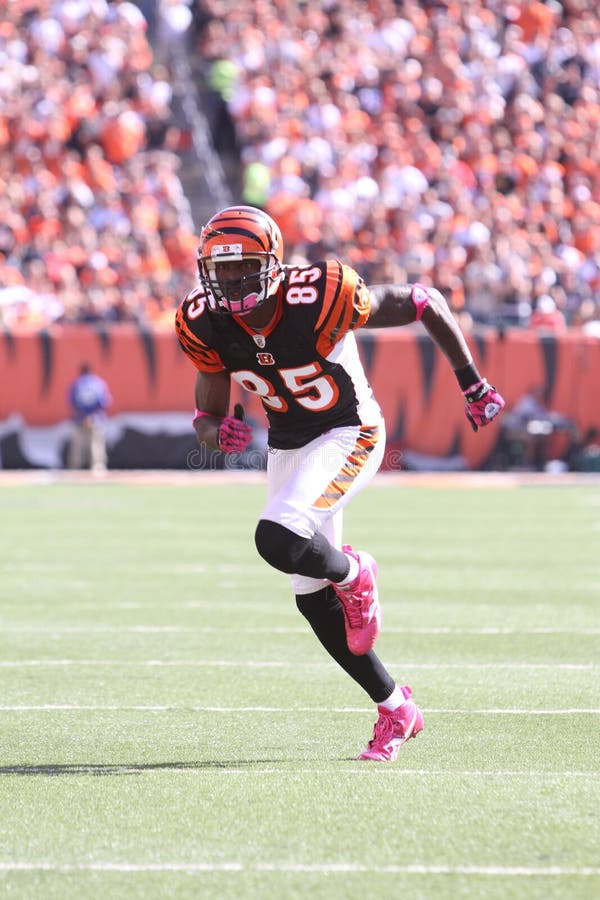 Chad Johnson editorial photo. Image of game, cleats - 186909896