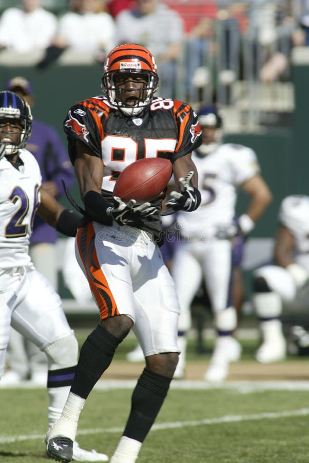 Chad Johnson editorial photography. Image of professional - 173656342