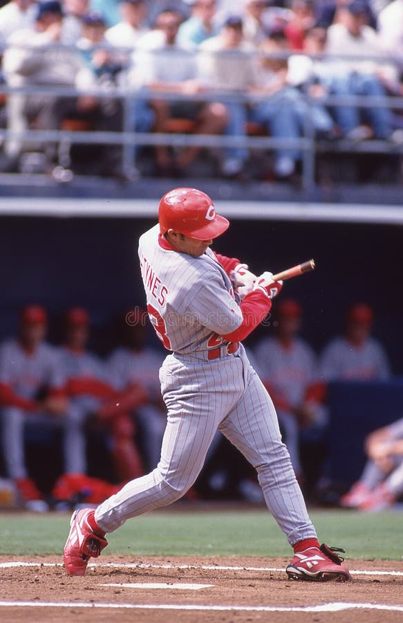 Chris Stynes Stock Photos - Free & Royalty-Free Stock Photos from ...