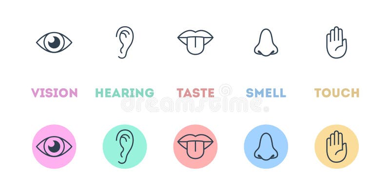 Cinco Tipos De Ejemplo Humano Del Concepto Del Sentido Ilustración del ...