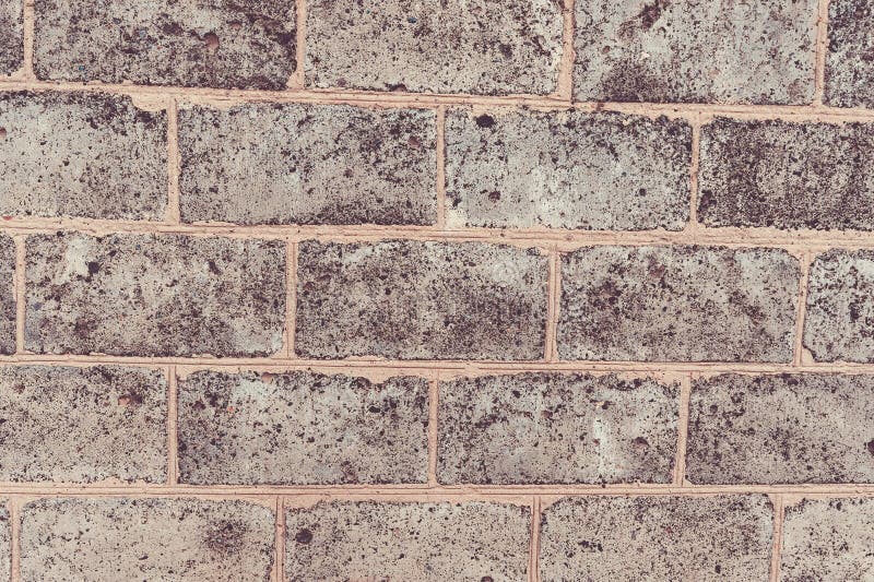 1,038 Vintage Cinder Block Stock Photos - Free & Royalty-Free Stock ...