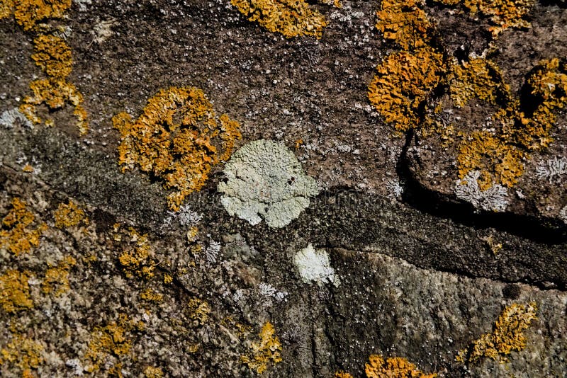 Cinder Rock Road stock photo. Image of lake, forest - 192865262