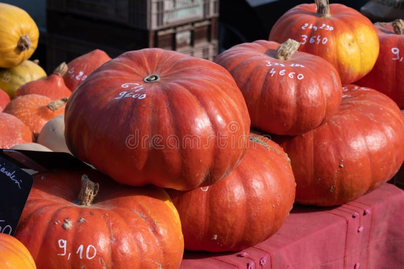 Cinderella Pumpkins at the Market Stock Image - Image of harvest ...