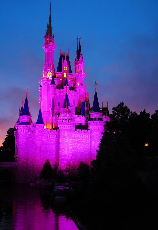 110 Purple Disney Castle Stock Photos - Free & Royalty-Free Stock ...