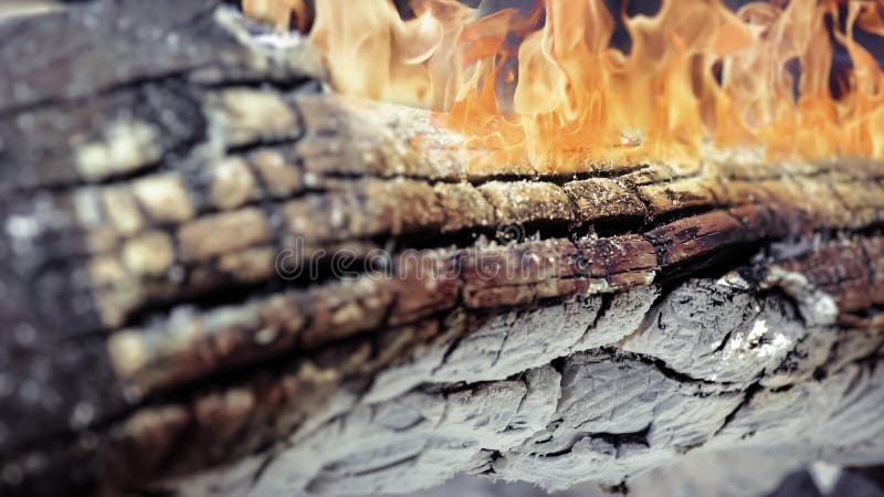 Cinemagraph of Burning Fire on the Burnt Log Stock Footage - Video of ...