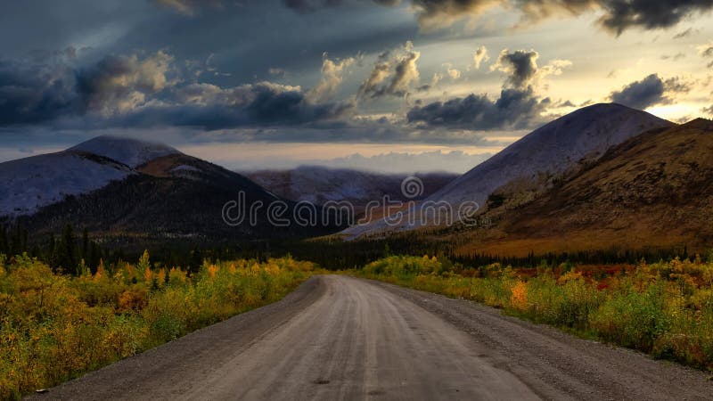 Cinemagraph Continuous Loop Animation. View of Scenic Road, Trees and ...