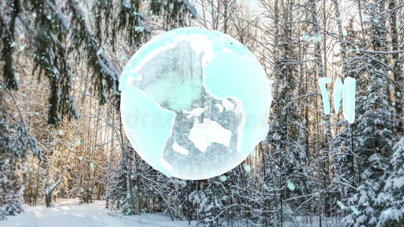 CINEMAGRAPH, 1080p, Falling Snow in the Winter Forest, Loop Stock ...