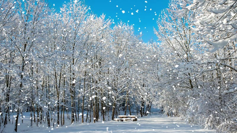 Cinemagraph of Snowy Forest with a Bench Stock Footage - Video of ...