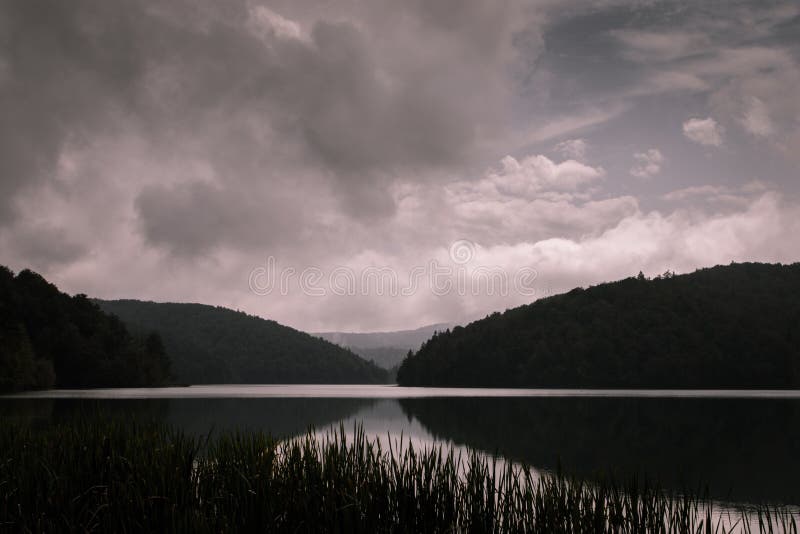 Cinematic Forest Landscape in Dark Tones Stock Photo - Image of ...
