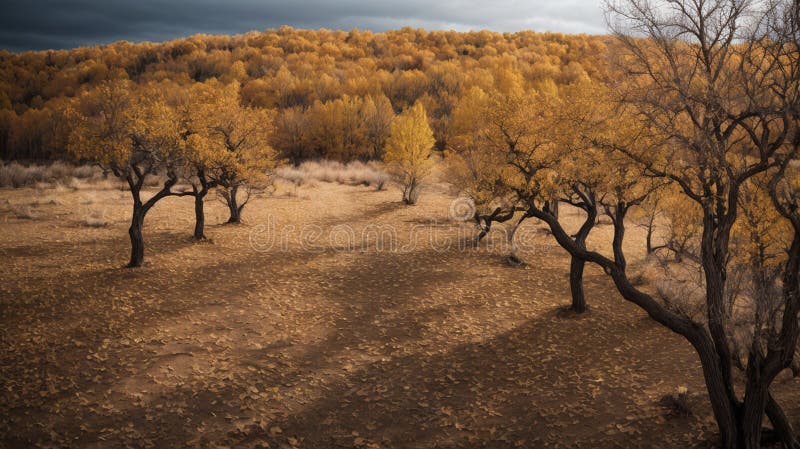 An Cinematic Movie Scene Includes Several Trees in a Land Stock ...