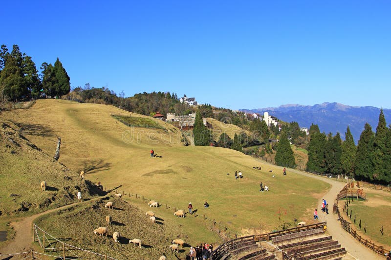 Cingjing Farm in Taiwan. stock photo. Image of environment - 272293146