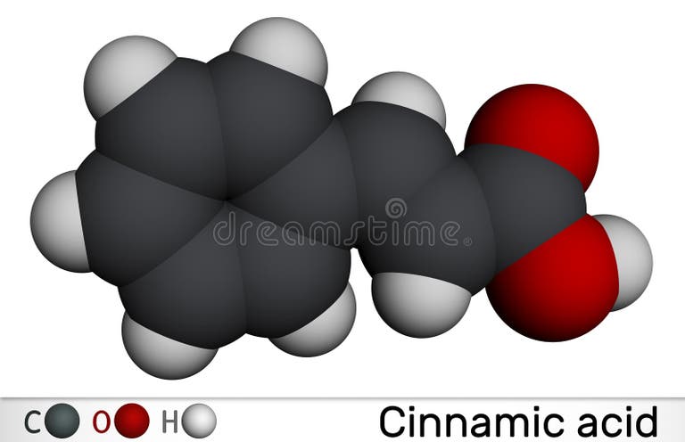 Cinnamic Acid Molecule. Molecular Model Stock Illustration ...