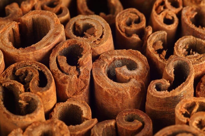 Cinnamon background stock photo. Image of sticks, stick - 23098692